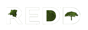 Organigramme | Coordination Nationale REDD (CNREDD) - République ...